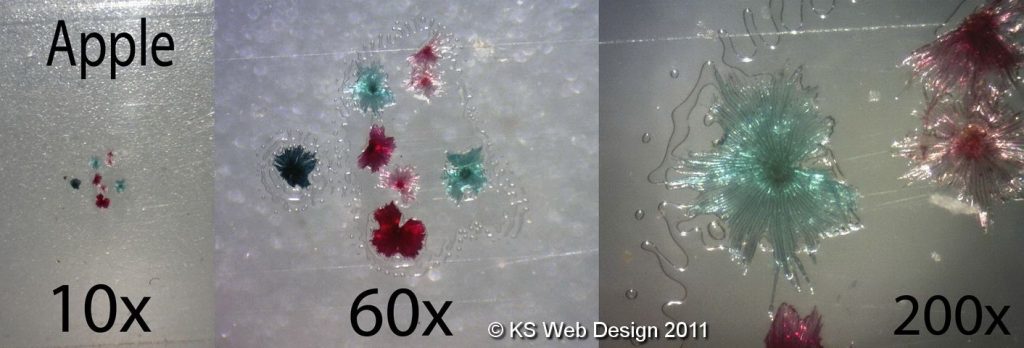 Traveler USB Microscope