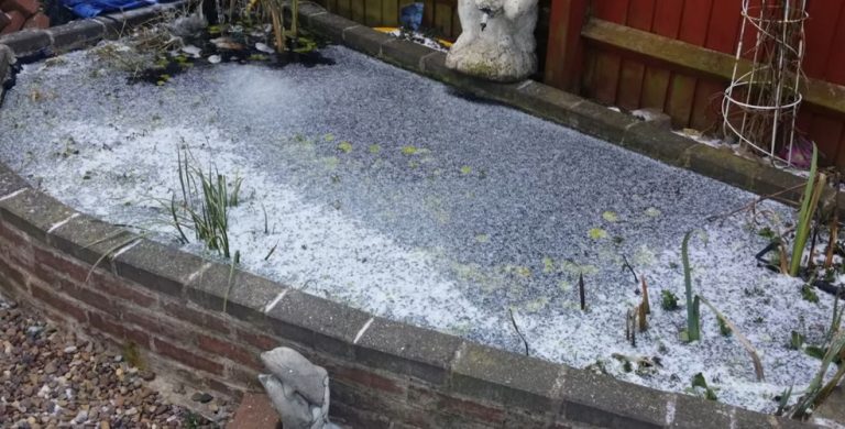 Frozen Iced Up Pond: Top Tips for Your Fish Pond - KS Blog